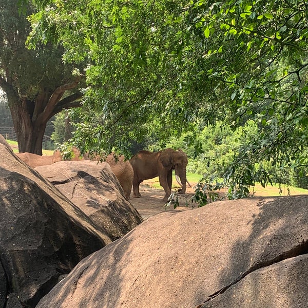 North Carolina State Zoo