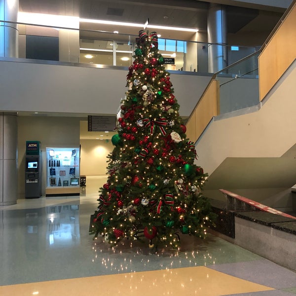 Henderson City Hall - 4 tips from 433 visitors