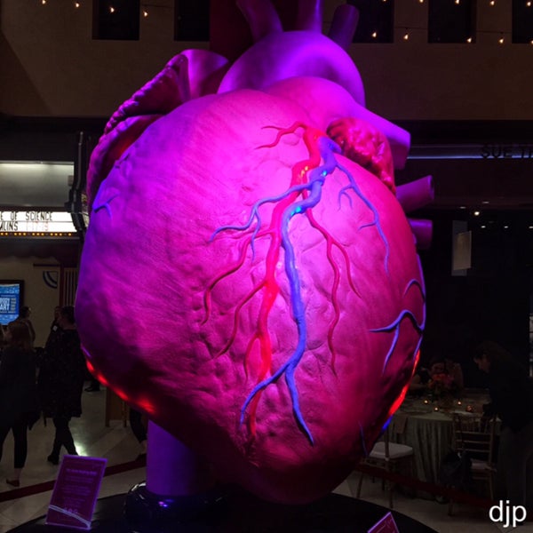 Health Museum of Houston - Houston, TX