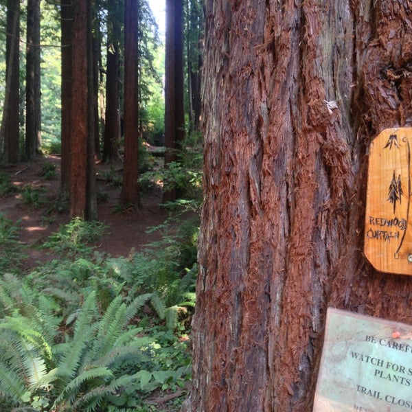 Redwood Curtain Disc Golf - Disc Golf