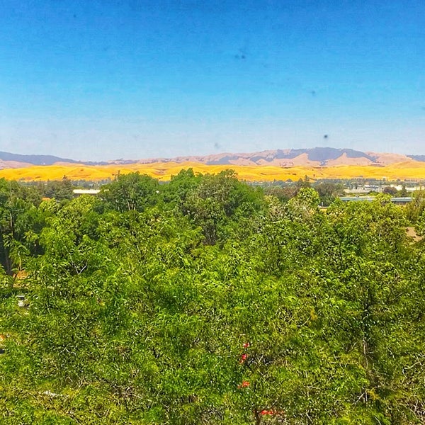 Safeway Corporate Headquarters - 4 tips