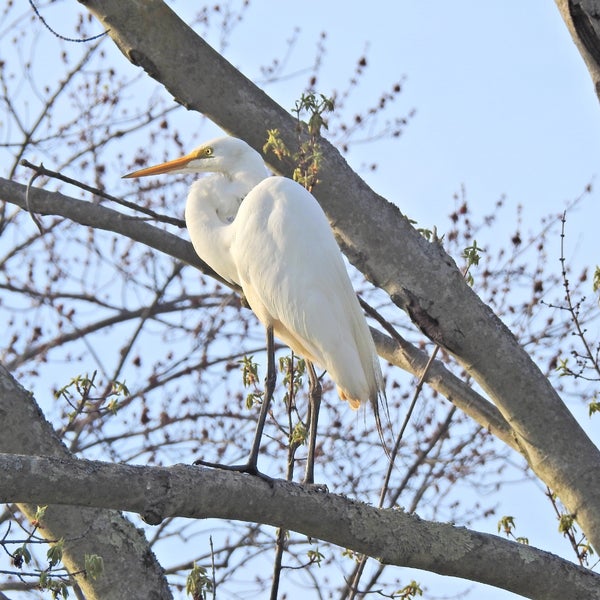 Peterkin Park - 2 tips