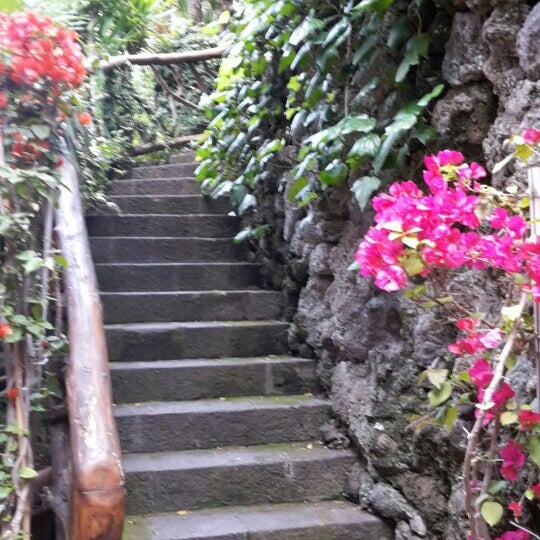 Bar Calise - Café in Ischia Porto