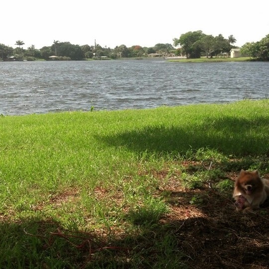 Photos at Lake Ida park - Park