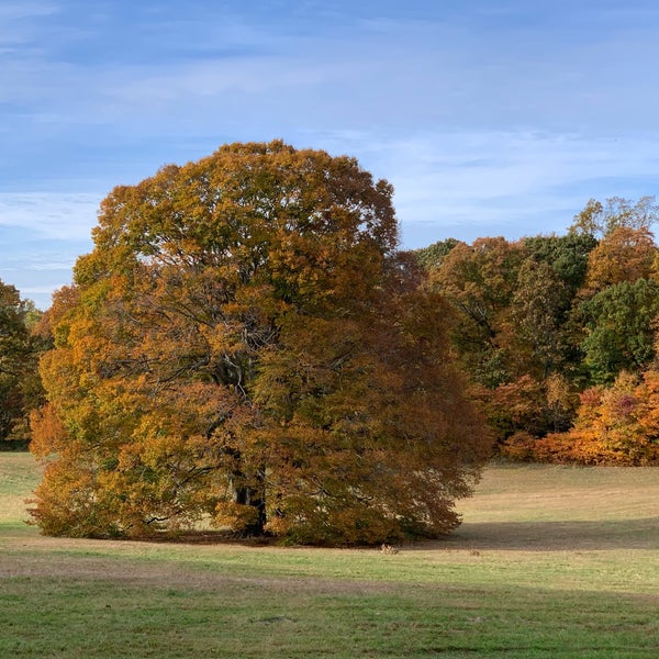 Photos at Caumsett State Historic Park Preserve - State or Provincial ...