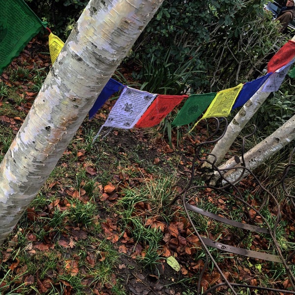 Bonnington Square - London - London, Greater London