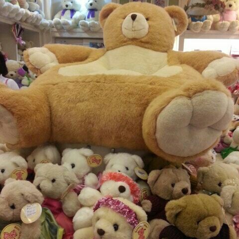 Bear Cuddler - Lipa City, Batangas
