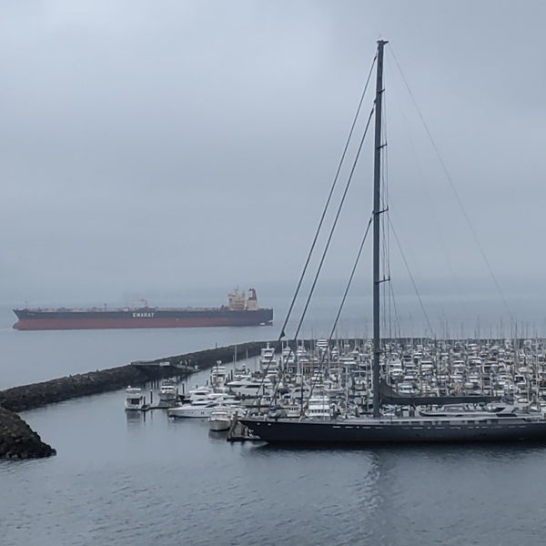 Pier 91 - Smith Cove Terminal - Harbor or Marina in Seattle
