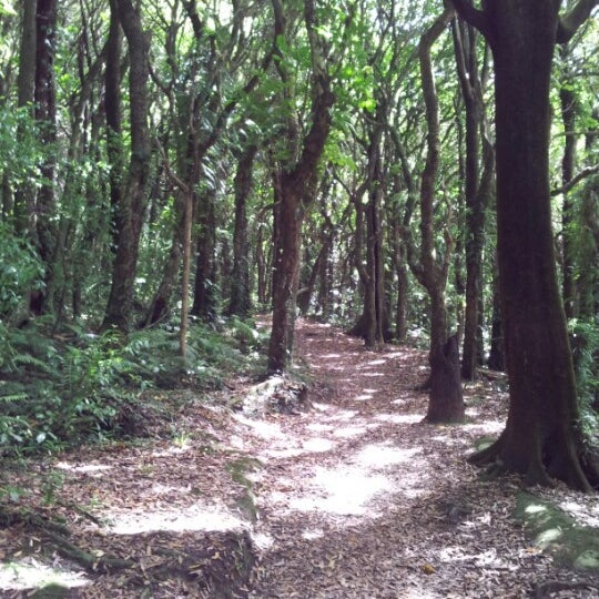 Khandallah Park - Khandallah - 0 tips