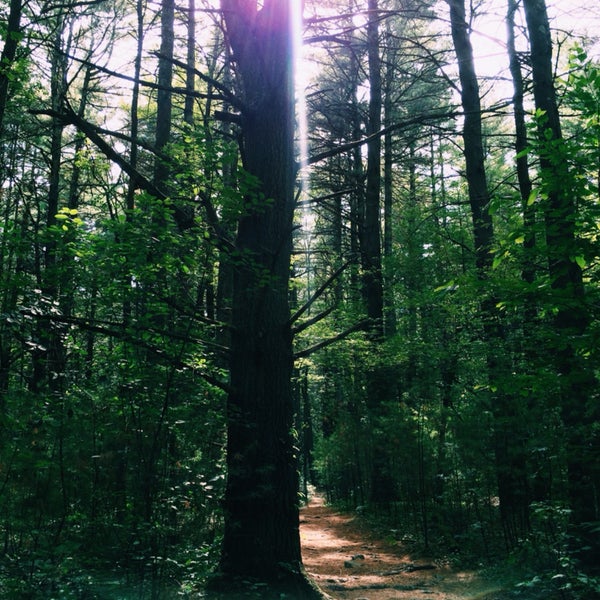 Callahan State Park - Framingham, MA