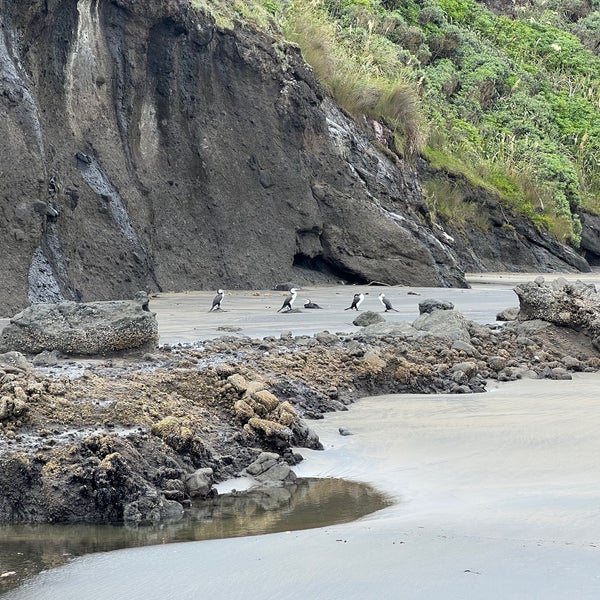 Anawhata Beach - Auckland, Auckland
