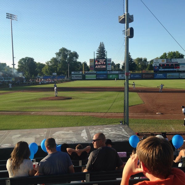 Melaleuca Field - 8 tips