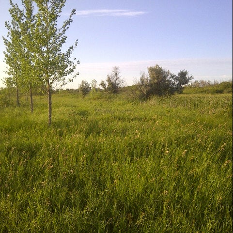 Photos at Transcona Community Bioreserve - Trail in Meadows