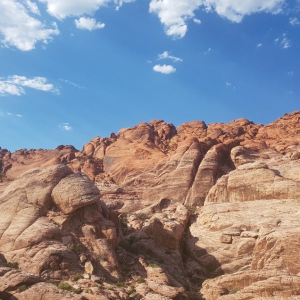Red Rock National Park - Rock Climbing Spot in The Strip