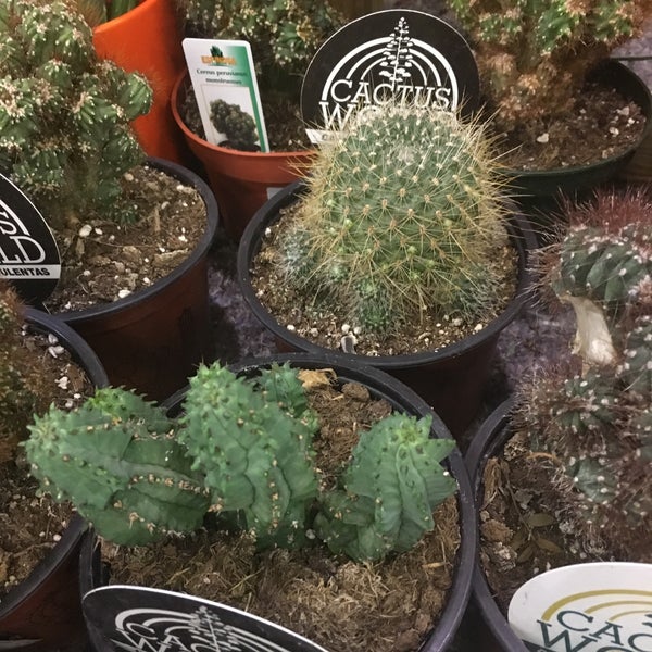 Jardiland - Gavà, Catalunya