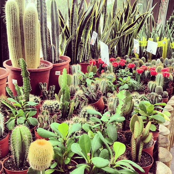 Jardiland - Gavà, Catalunya