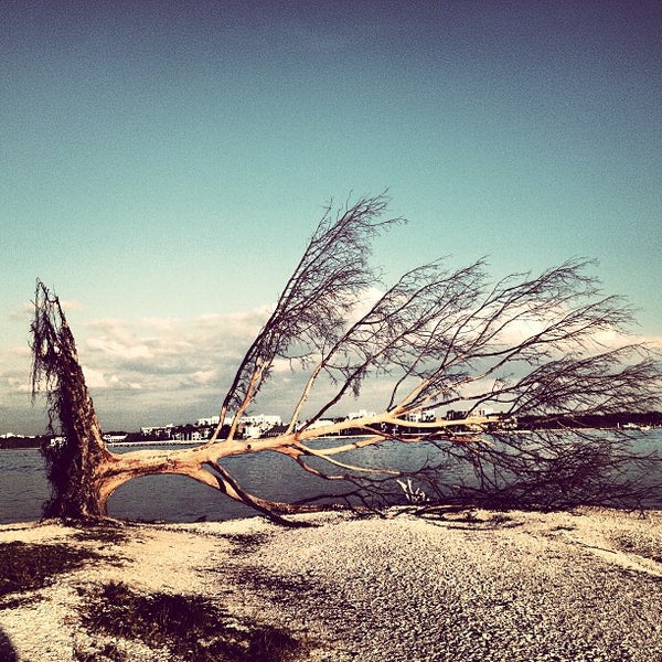 Photos at One Tree Island / Compass Key Island - Clearwater, FL