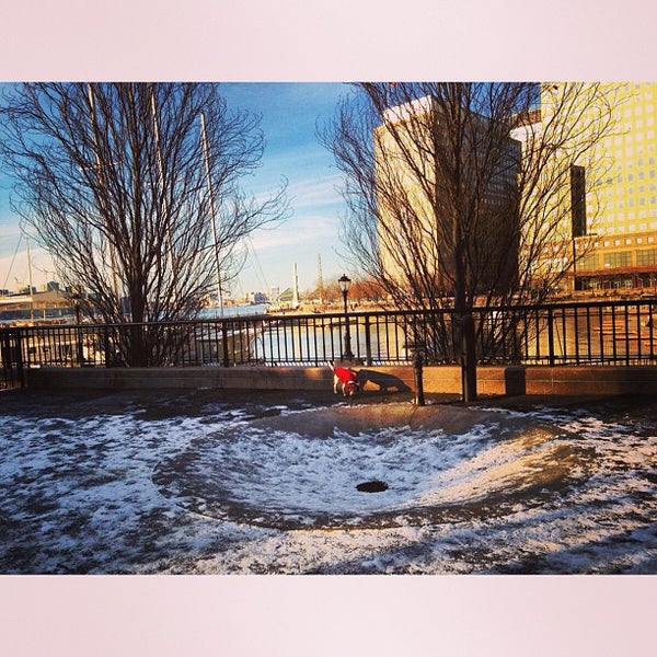 Sirius Dog Run - Battery Park City - New York, NY