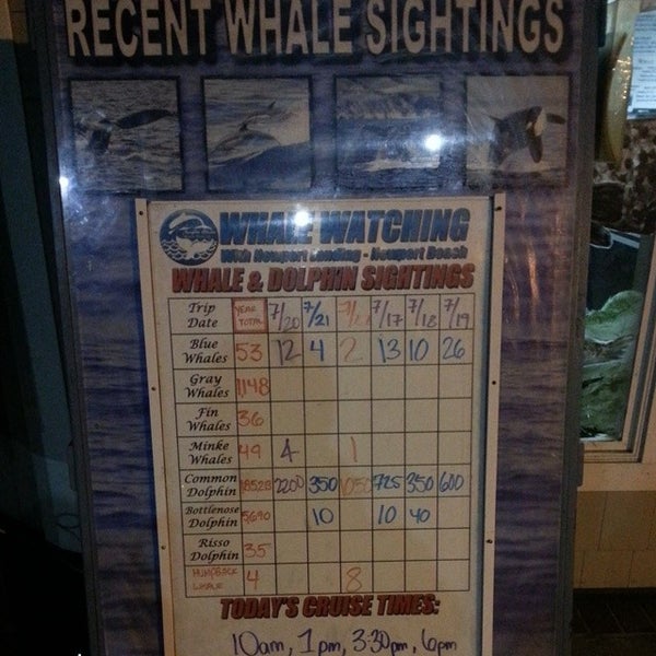 Photos at Balboa Saloon - Balboa Village - 700 E Bay Ave