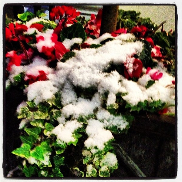 Braemar Mansions - Queen's Gate - 0 tips