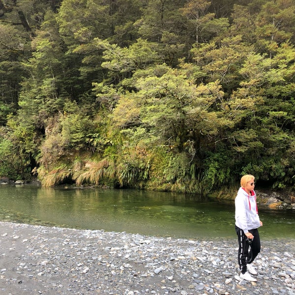 Whataroa River Bridge - 2 tips from 78 visitors