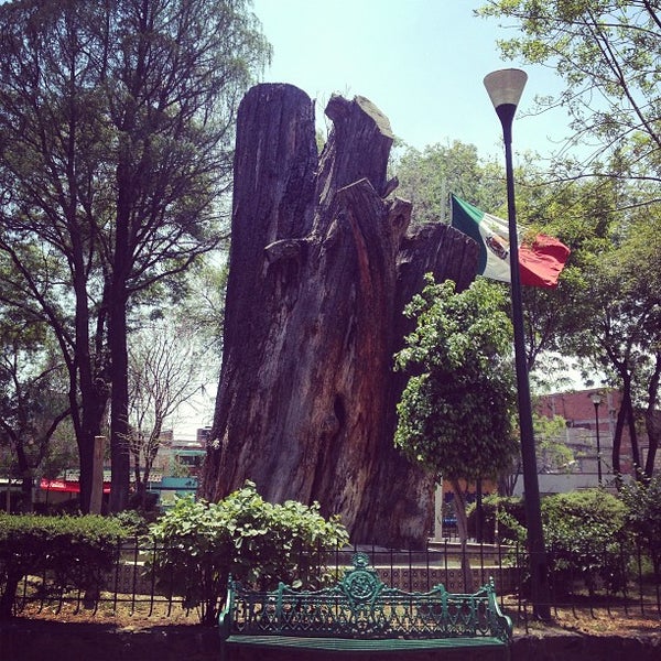 Glorieta de Los Ahuehuetes - Plaza in México