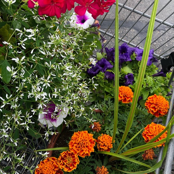 Menards - Hardware Store