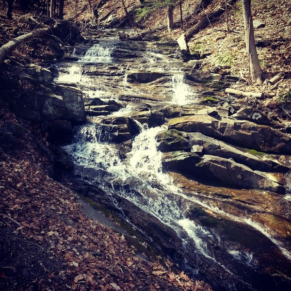 Falling Waters Preserve - Nature Preserve