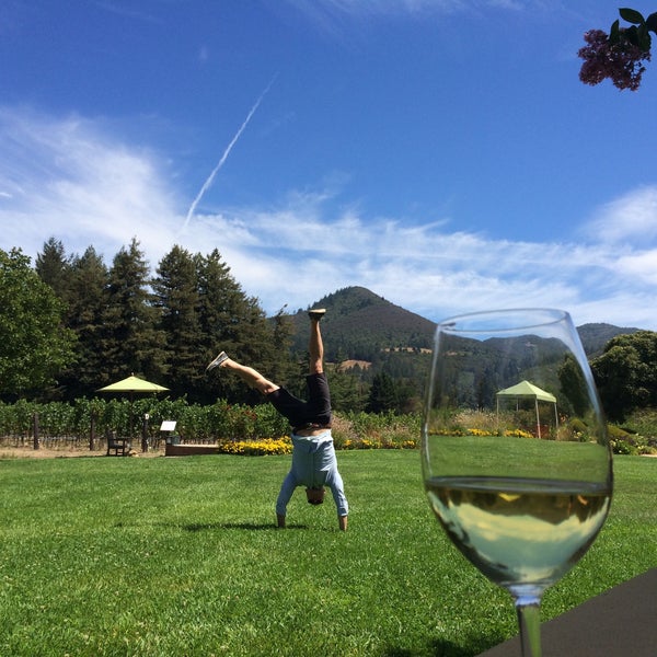 Photos at Landmark Vineyards - Winery in Kenwood