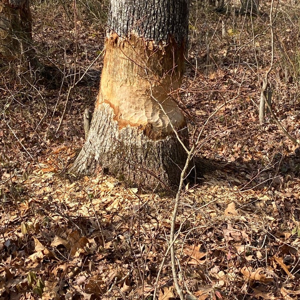 Hazle Twp Community Park - Hazleton, PA