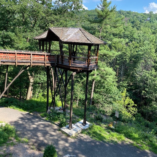 The David Wenzel Treehouse - Hill Section - Scranton, PA