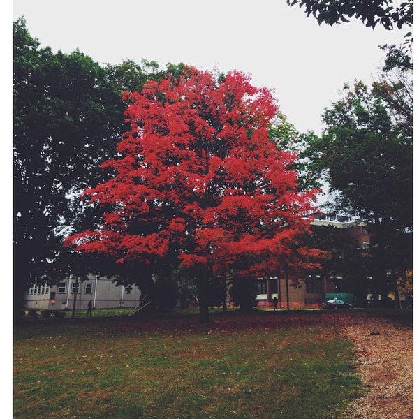Photos at Rutgers University (Cook/Douglass Campus) - College Farm Road