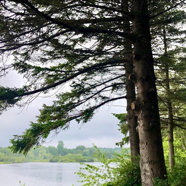 Photos at Duddingston Loch - Lake in Edinburgh