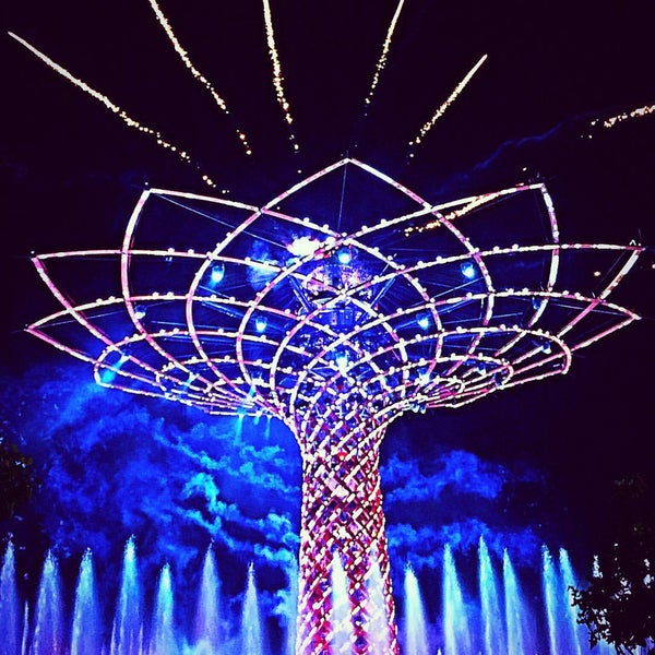 Albero della Vita - Lake Arena