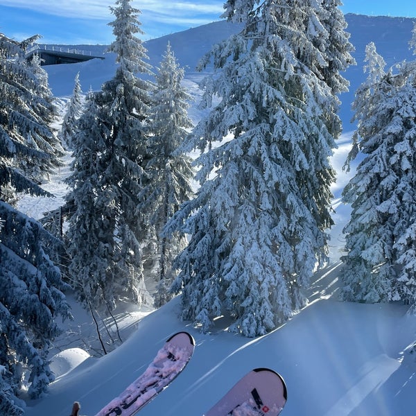 SkiWelt - Ski Resort and Area