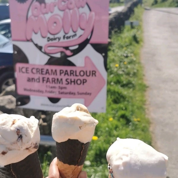 Photos at Our Cow Molly Dairy Ice Cream - Ice Cream Parlor