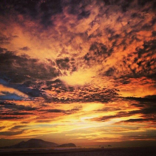 Photos at Dinner Key Picnic Islands Park - coconut grove - 0 tips