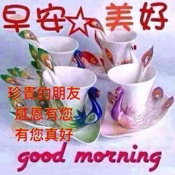 Photos at Greendale Primary School