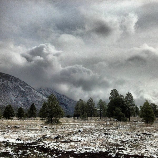 Buffalo Park - Flagstaff, AZ