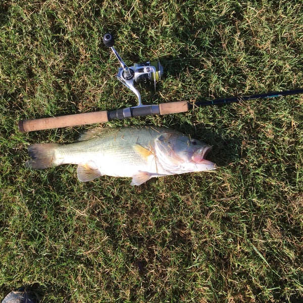 Kyle Lake Park - Park in Kyle