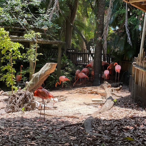 Palm Beach Zoo - 33 tips