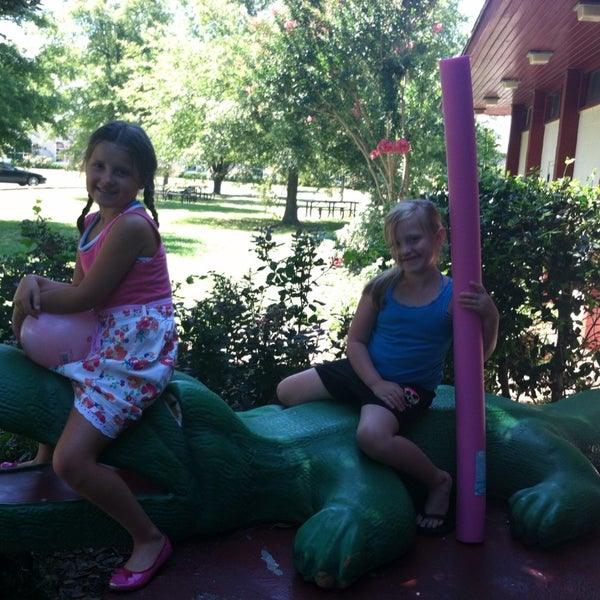 Gator Pool - Swimming Pool in Virginia Beach