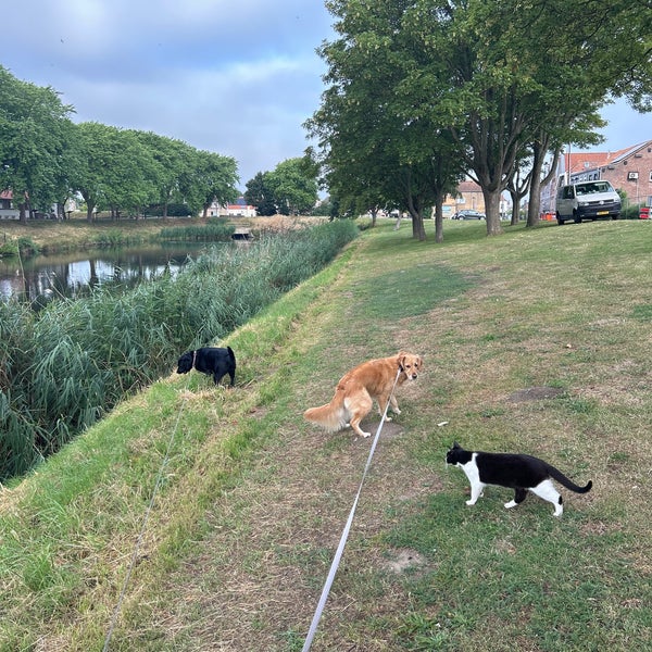 Oude-Tonge - Oude-Tonge, Zuid-Holland