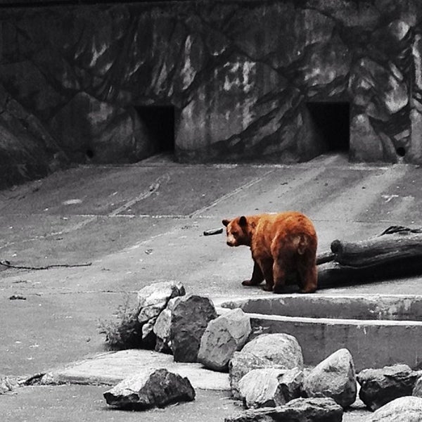 Photos at Bear Mountain Zoo and Trailsides Museum - 18 tips from 1014 ...