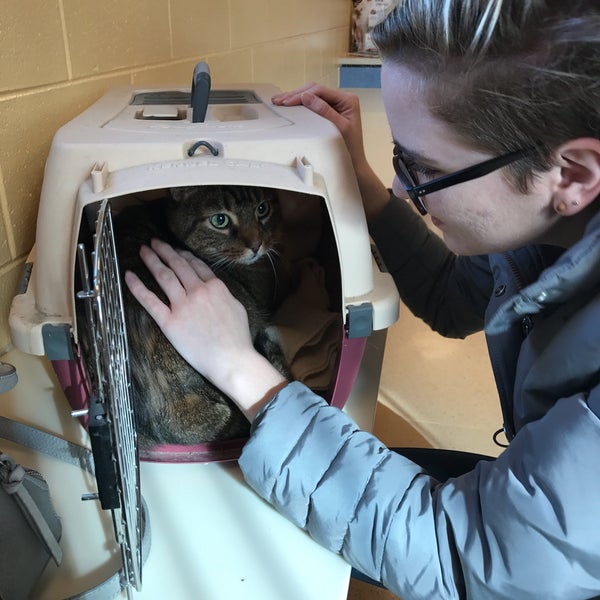 Michigan Humane Society - Westland, MI