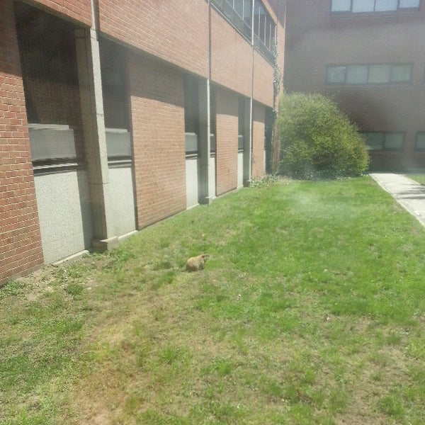 Hanscom afb building 1606 - 1 visitor