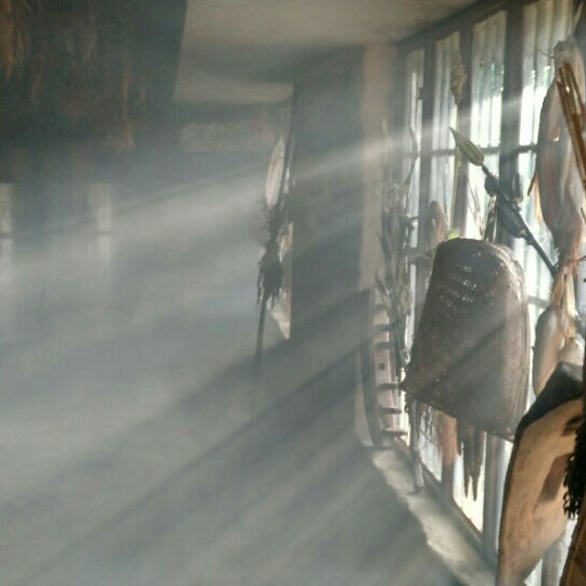 Navdanya Biodiversity farm