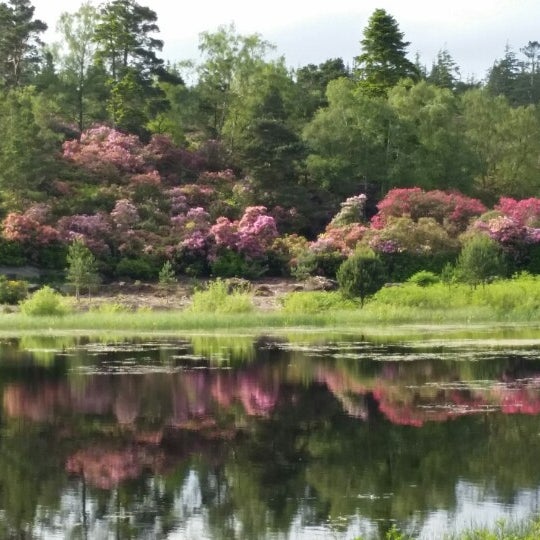 Cragside Estate - Cragside