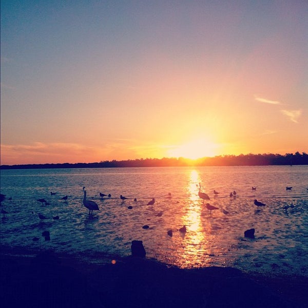 Tooradin Foreshore - Foreshore Rd