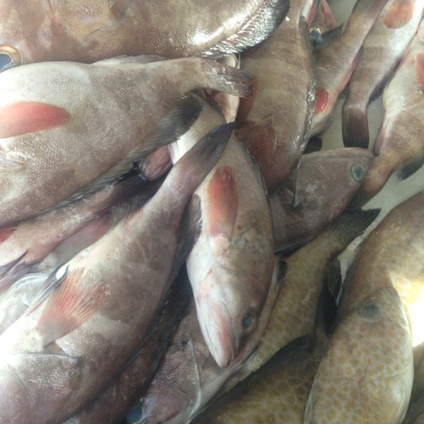 Souq Samak - Fish Market in Taif